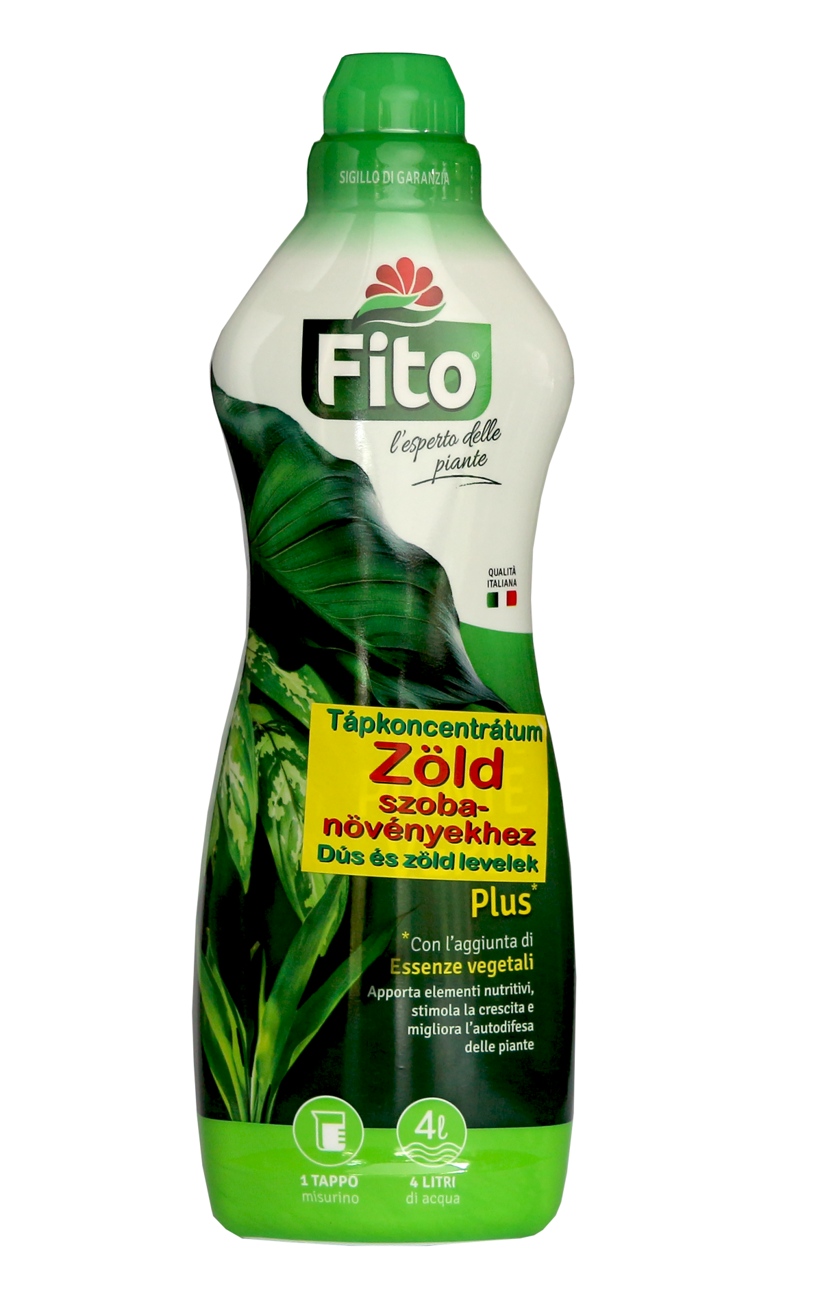 Zöld szobanövények ápolása – Kertoázis